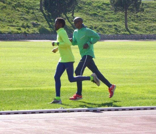 Font-Romeu : à la rencontre des champions – RUN in PYRÉNÉES